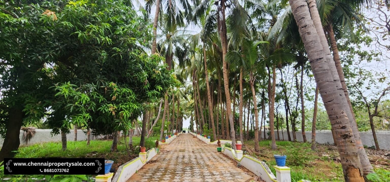 1 Acre Farmland With House Sale In Avadi - Galaxy Realty